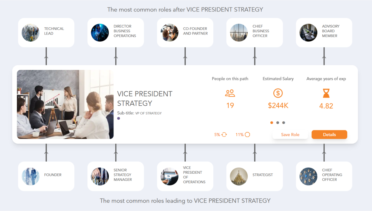 Vice President Strategy Career Path | See the Career Paths People Really Take